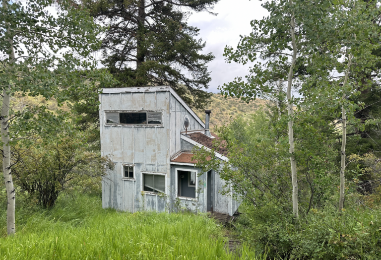 The One Where The Flip Hubb Buys a Flip House - The Flip Hubb